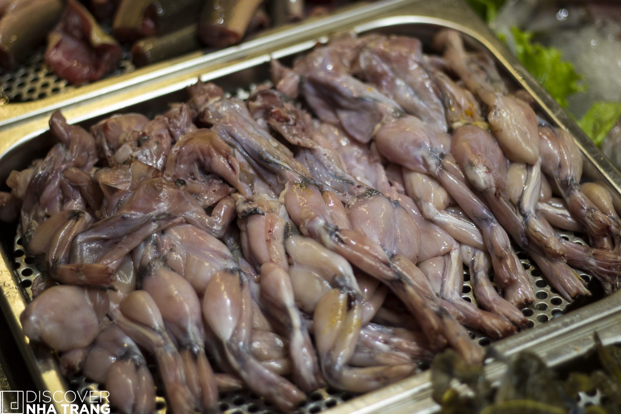Frogs Legs -Zallo Buffet-Nha Trang | Discover Halong